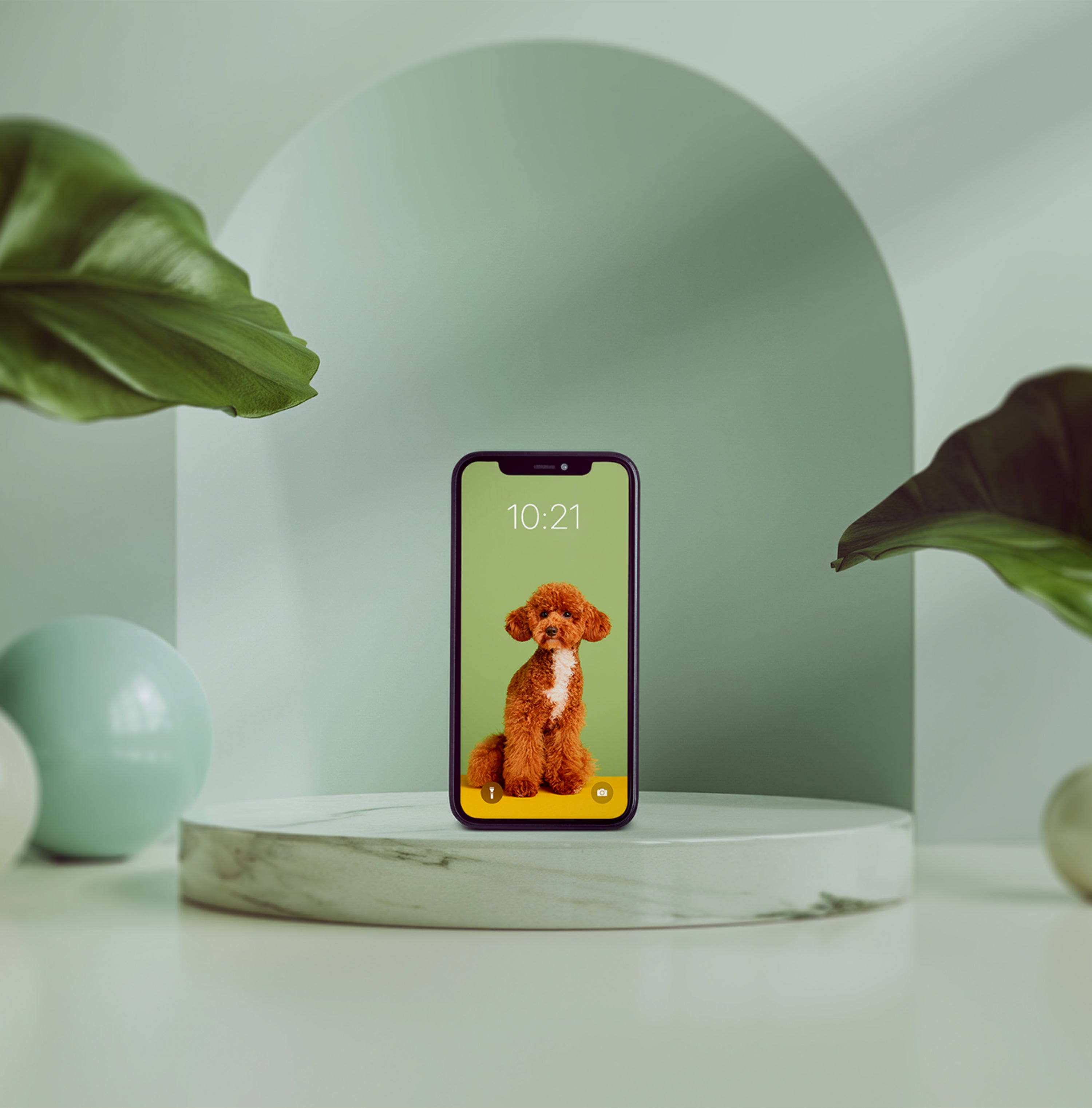 Rui – Zerogram Studio